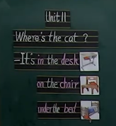 Unit 11 Where is the cat?