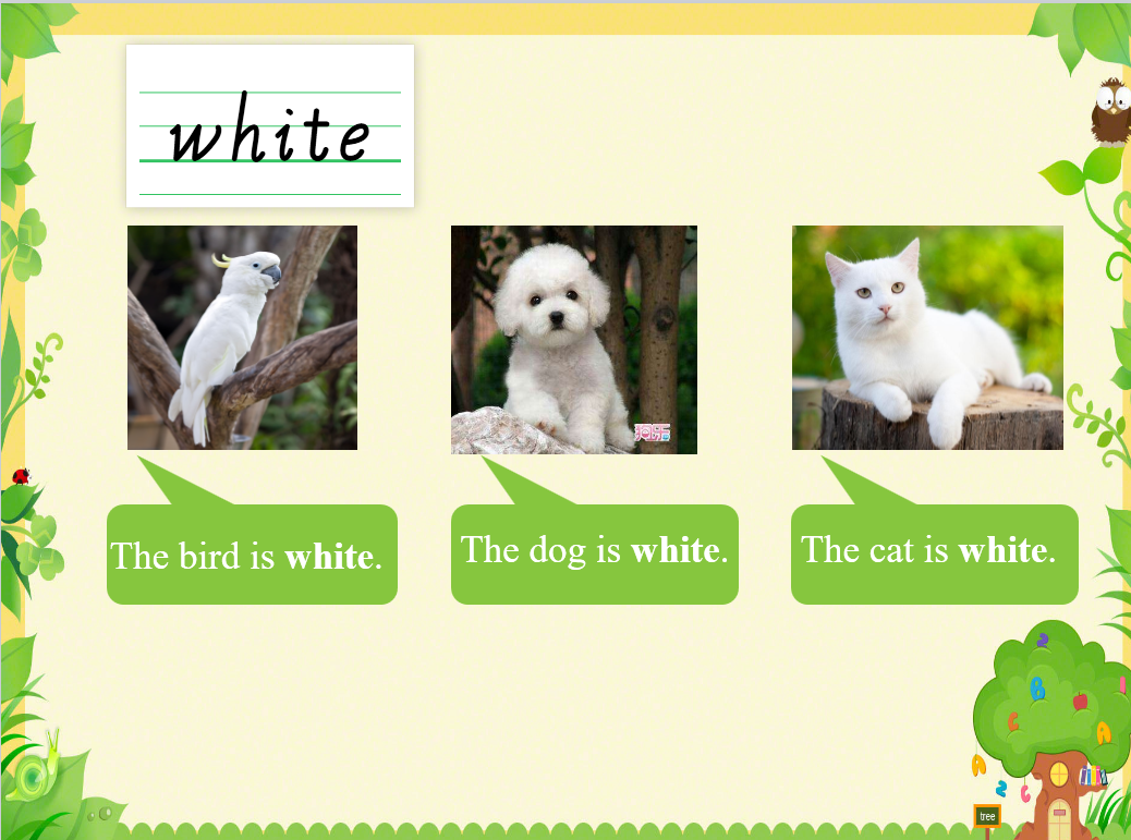 Unit 2 Colours Part B let's learn & let's do